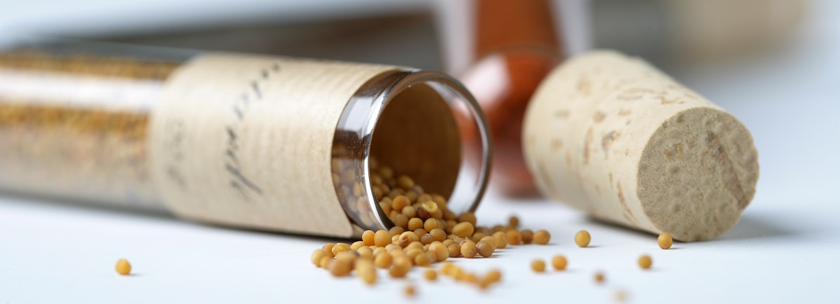 Banka semena na Svalbardu još uvek bez uzoraka iz Srbije - Agro TV