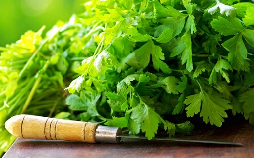 Peršun - vladar među začinima - Agro TV