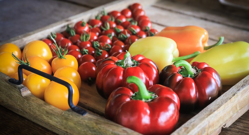 Kalijum – element značajan za dobar kvalitet povrća - Agro TV