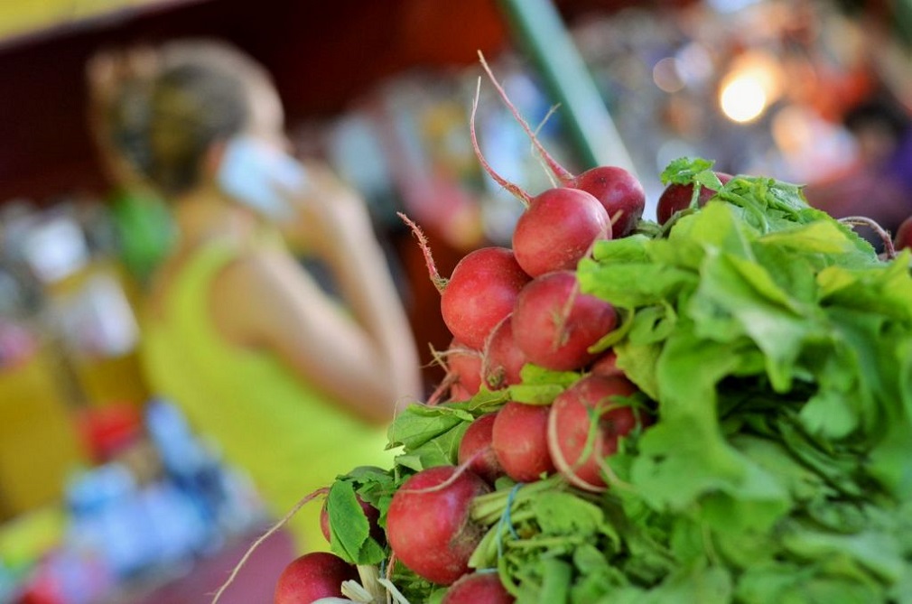 I pored svih problema i izazova, pijace opstaju - Agro TV