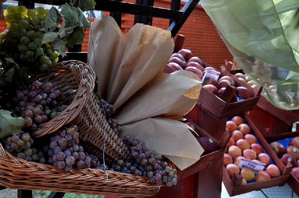 „Grožđebal“ u Vršcu od 15. do 18. septembra - Agro TV