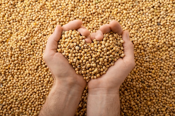 Rast prometa i cena na Produktnoj berzi - Agro TV