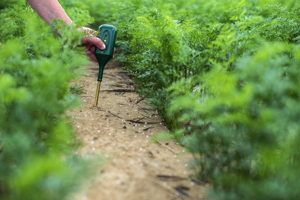 Značaj hlora za povrtarske kulture - Agro TV